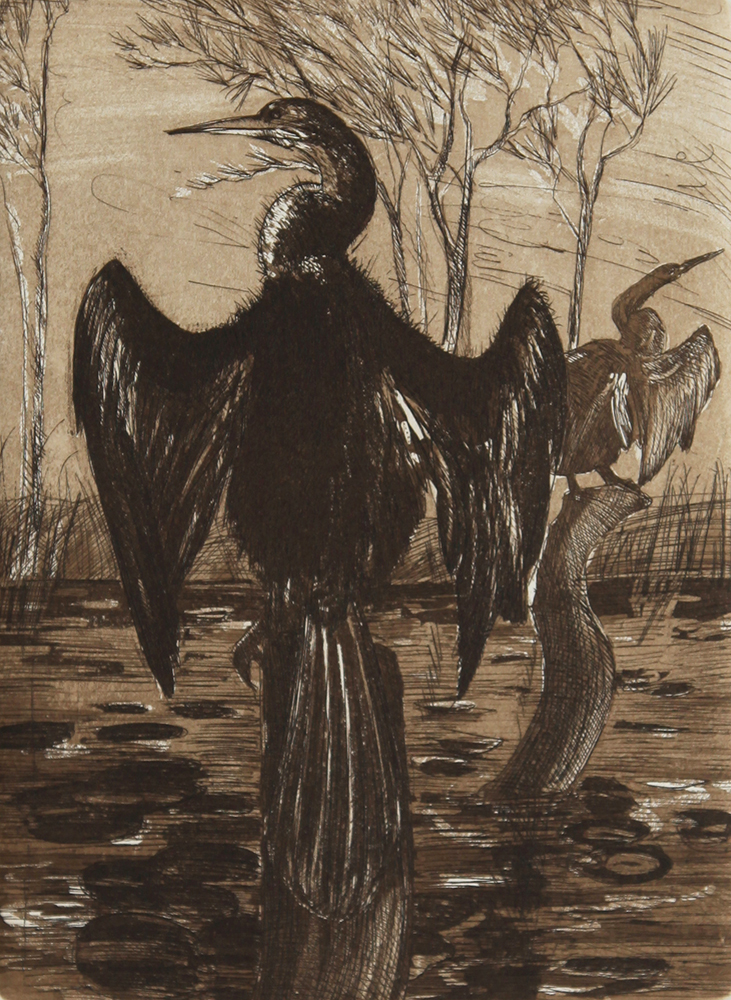 Prints 1978 - 1982 - Pamela Griffith